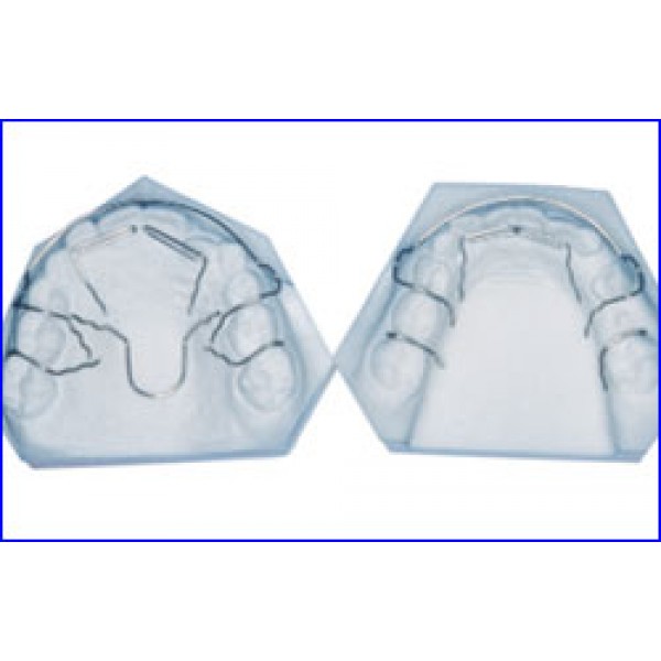 Coffin Springs (3830)