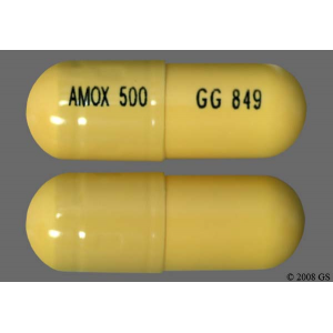Amoxicillin 500mg 100/Bottle (15617)