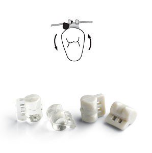 Rotation Wedges (100/pk) (2869)