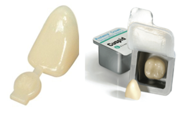 DC Dental Crowns - Crown Forms