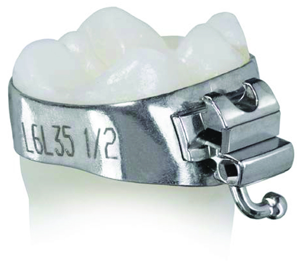 Molar Bands