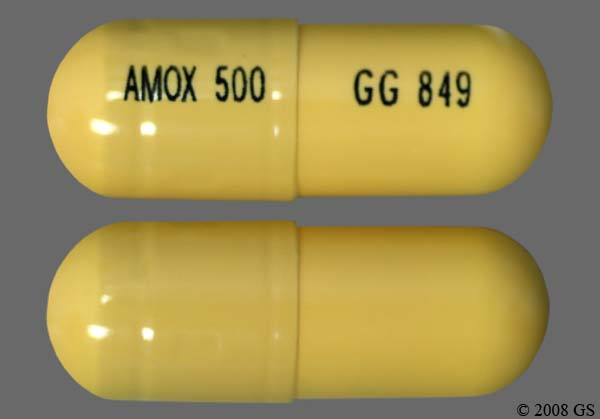 Amoxicillin 500mg 100/Bottle (15617)