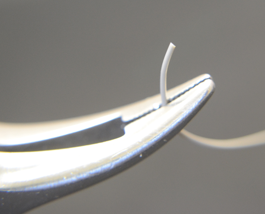 Solid Thread - 25' (3766)