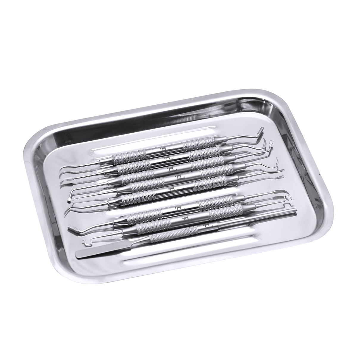 Instruments Tray Standard (32441)