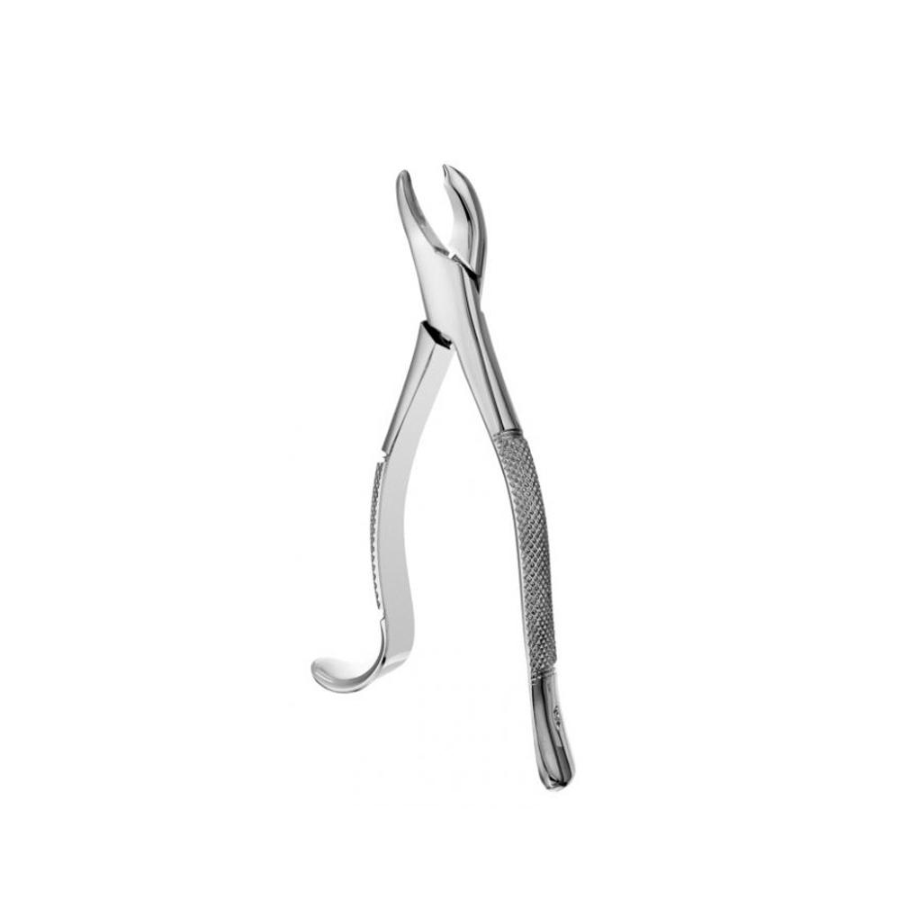 Extraction Forcep 18L American Pattern (31951)