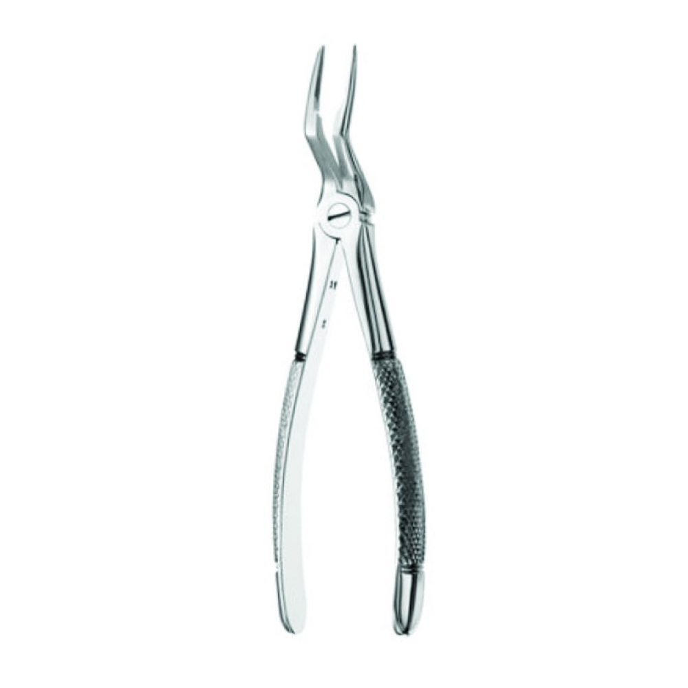 Fig.97 (Extraction Forcep English Pattern) (31979)