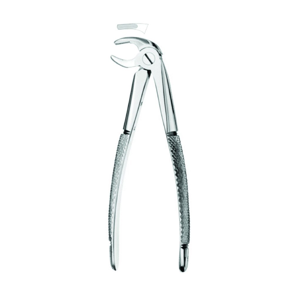 Fig.13 (Extraction Forcep English Pattern) (31966)