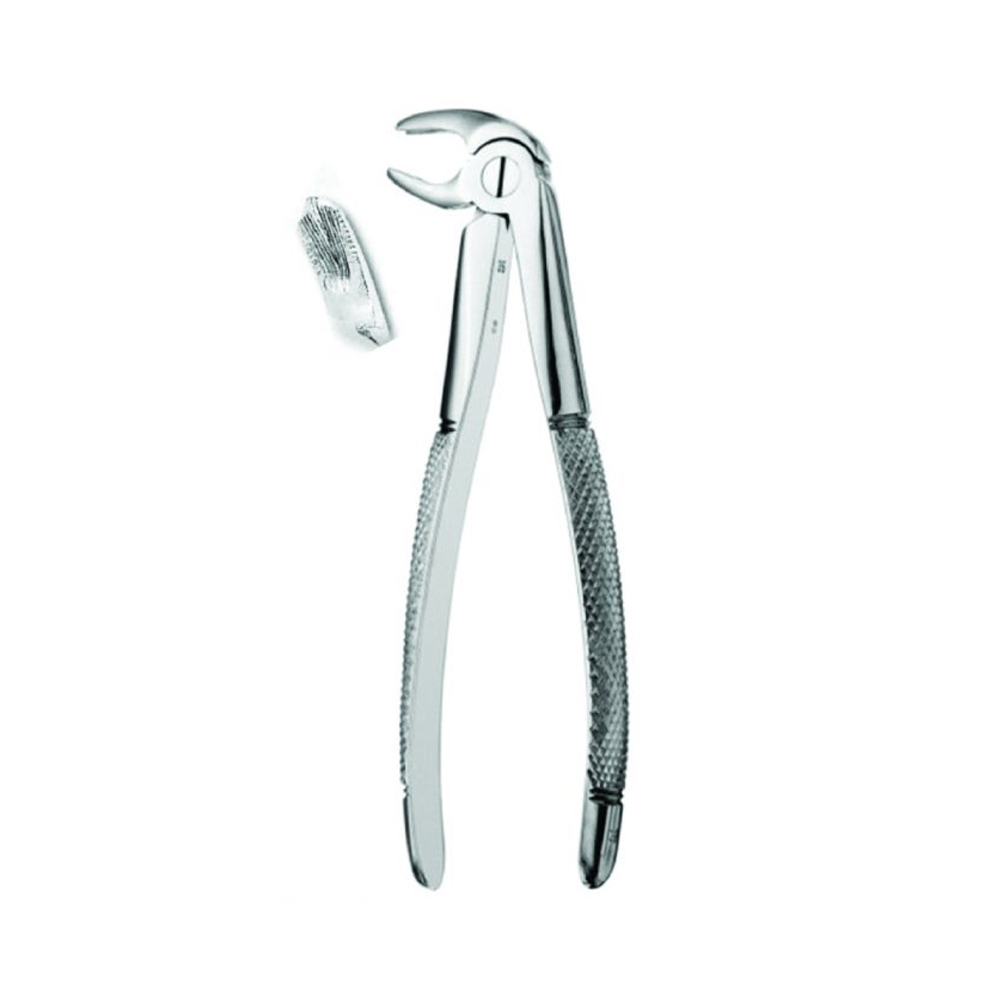 Fig.22 (Extraction Forcep English Pattern) (31969)