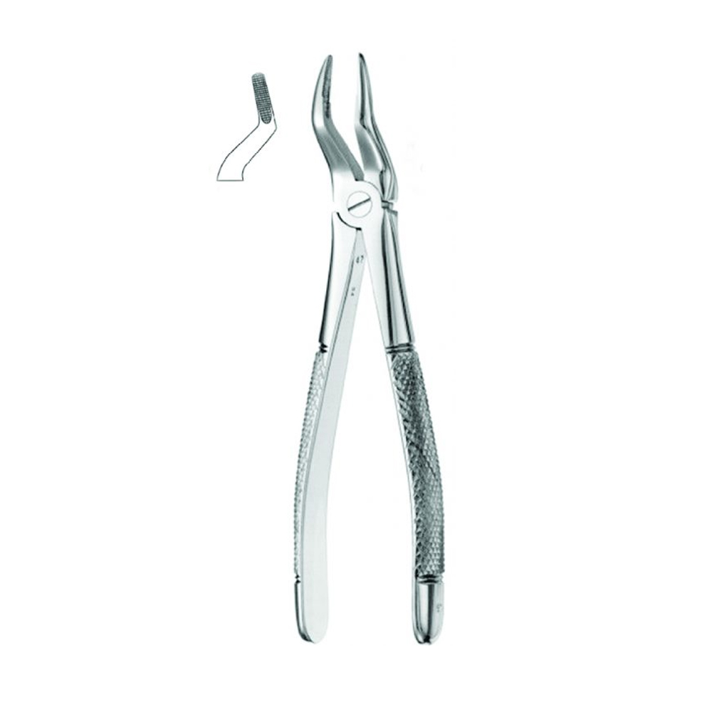 Fig.51 (Extraction Forcep English Pattern) (31971)