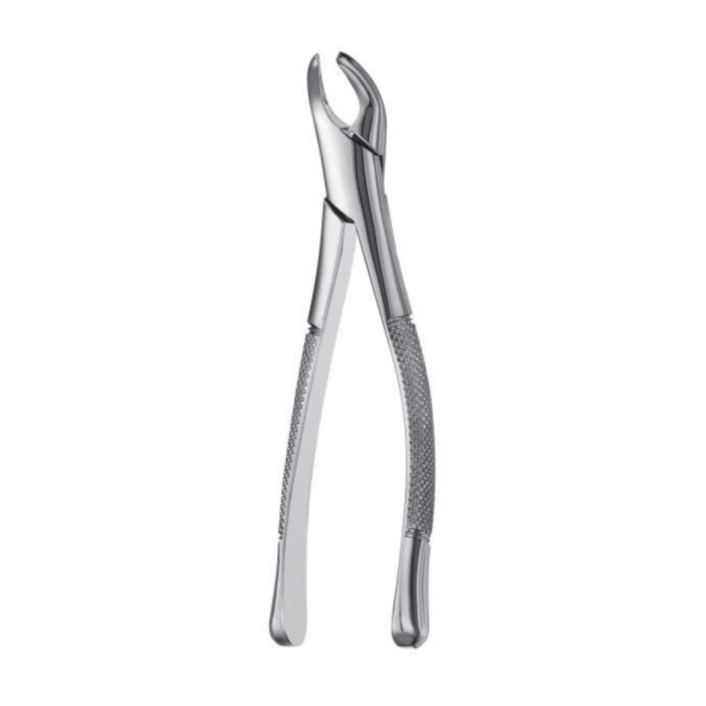 Extraction Forcep #151S Child American Pattern (205)