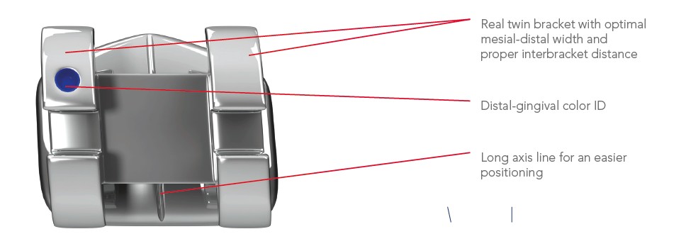 Legacy Mini; Roth - Mandibular (5359)