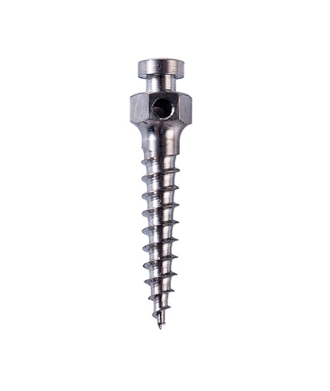 TITANIUM-ALLOY Orthodontic Micro Implant Screw / Driver Instrument (40309)