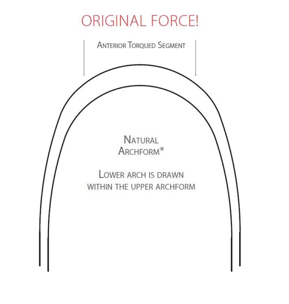 S.E.T.™ Anterior Pre-Torqued Nickel Titanium Archwire (5ct) (30261)